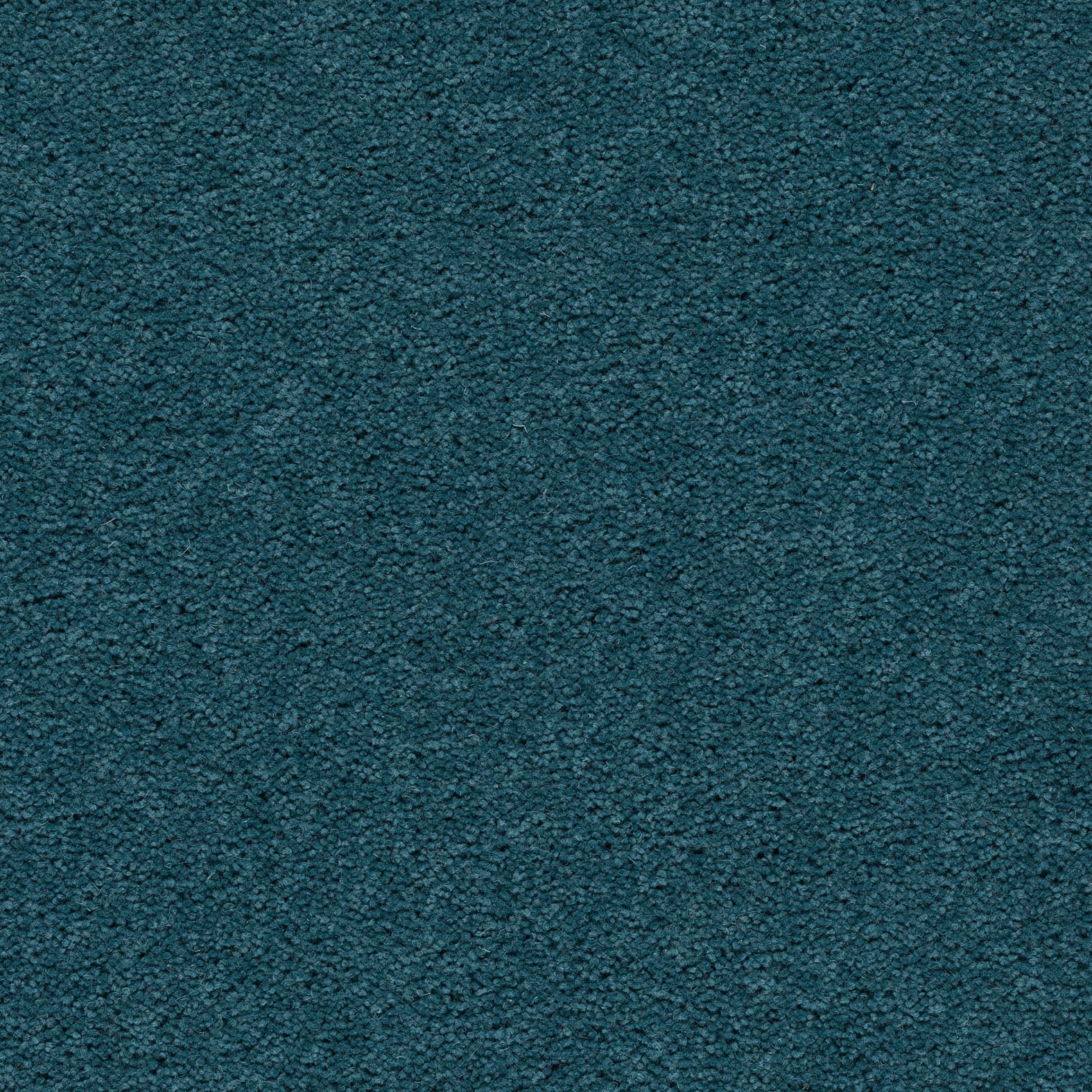 Axminster Carpets Devonia Plains – Stonegate Carpets