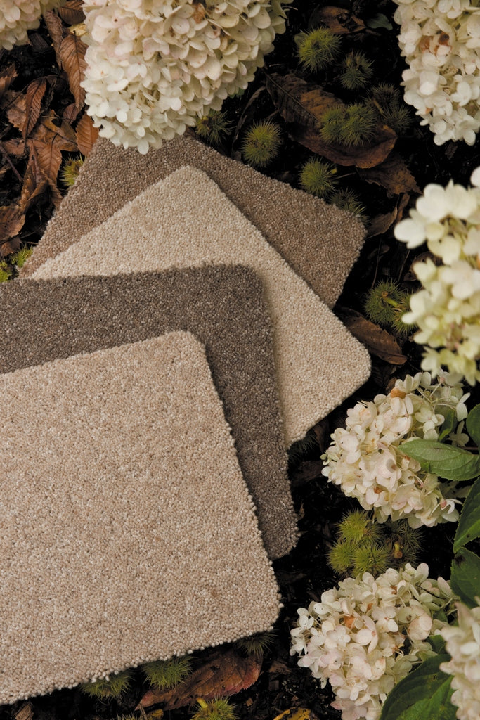 Ulster Carpets | Natural Choice Plains | Stonegate Carpets