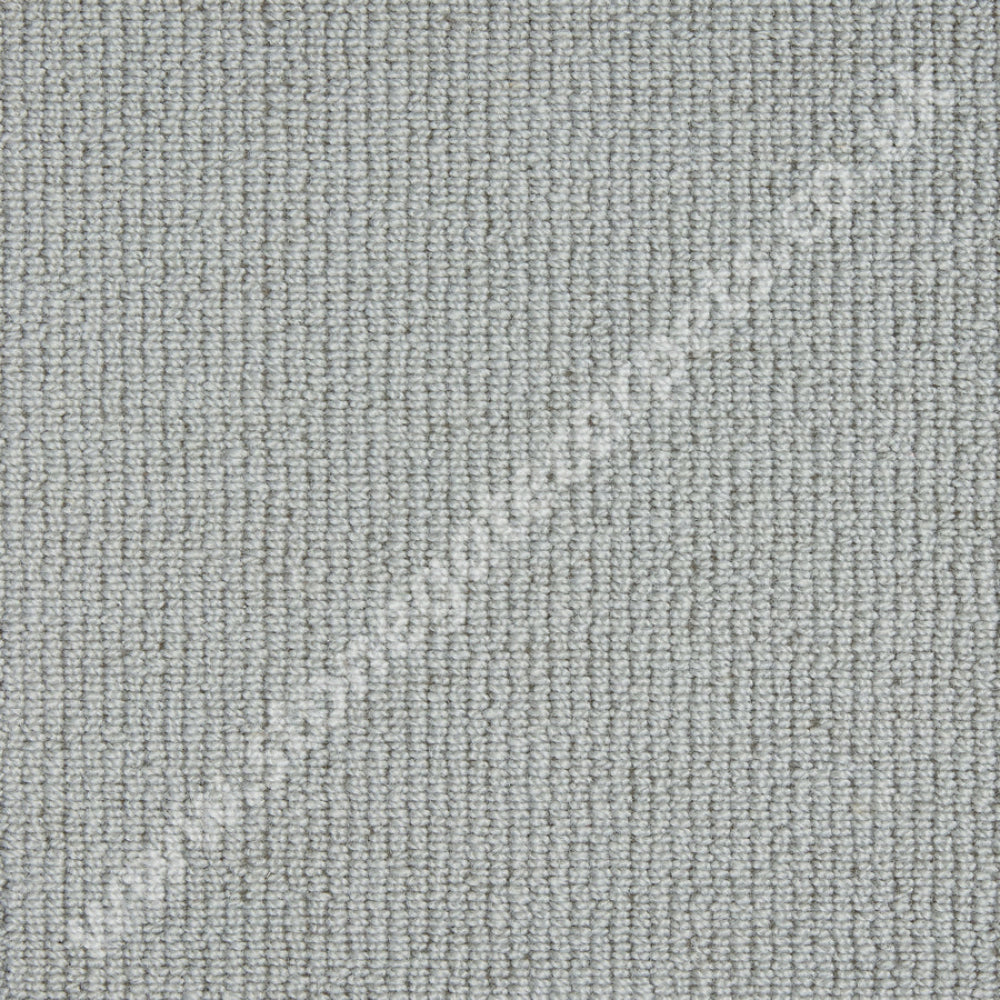 Weste Carpets | Barrington Loop | Diamond Dove – Stonegate Carpets
