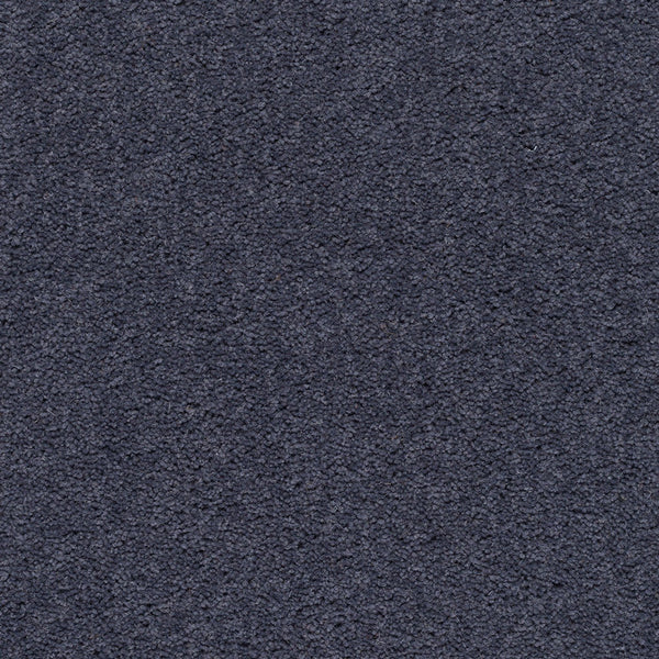 Axminster Carpets Devonia Discovery – Stonegate Carpets