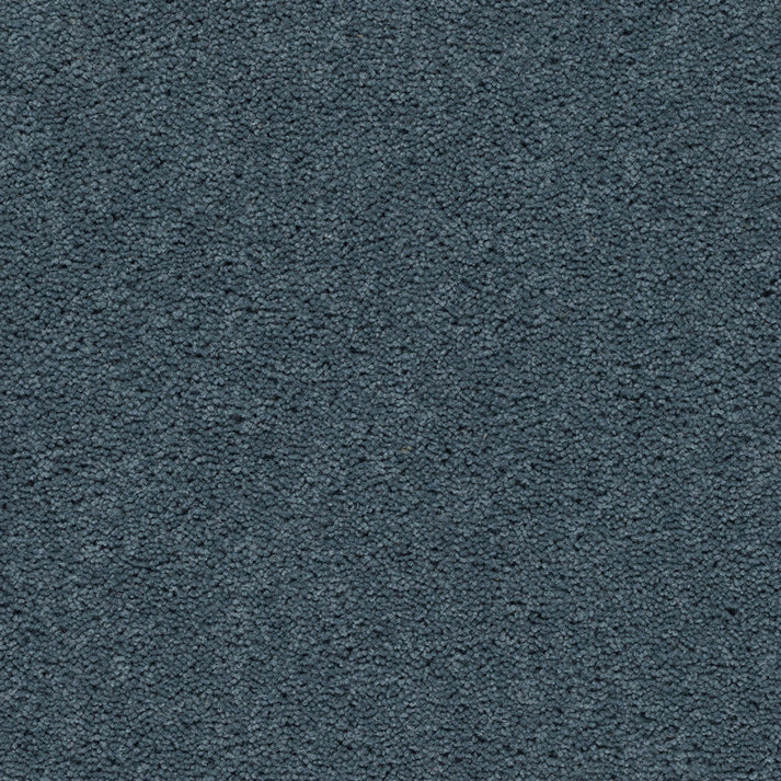 Axminster Carpets Devonia Dragonfly – Stonegate Carpets