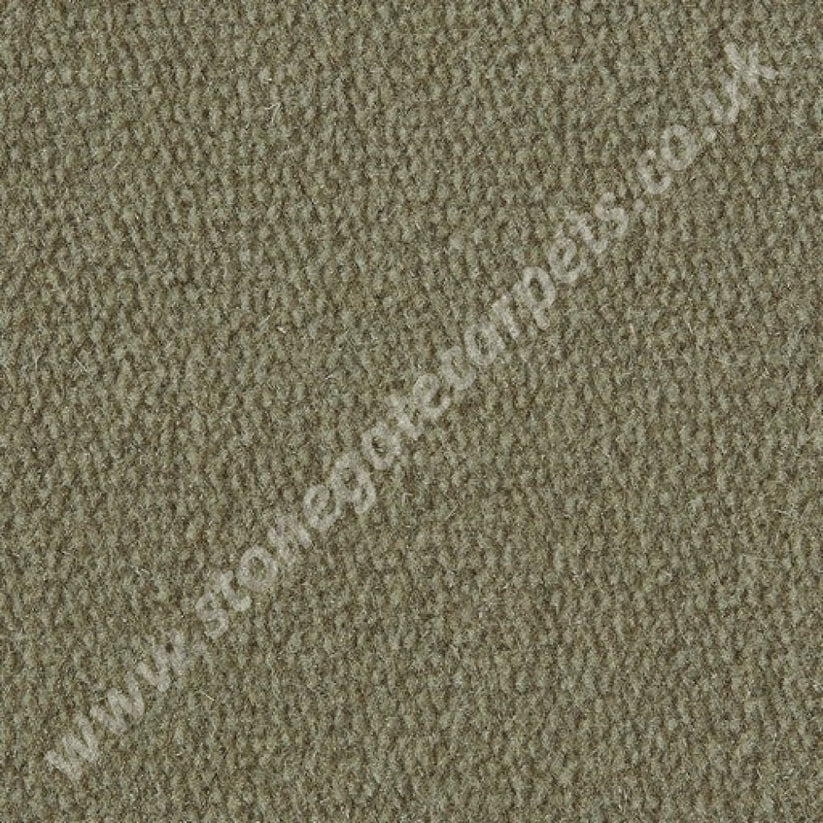 Westex Carpets | Exquisite Velvet | Canvas – Stonegate Carpets